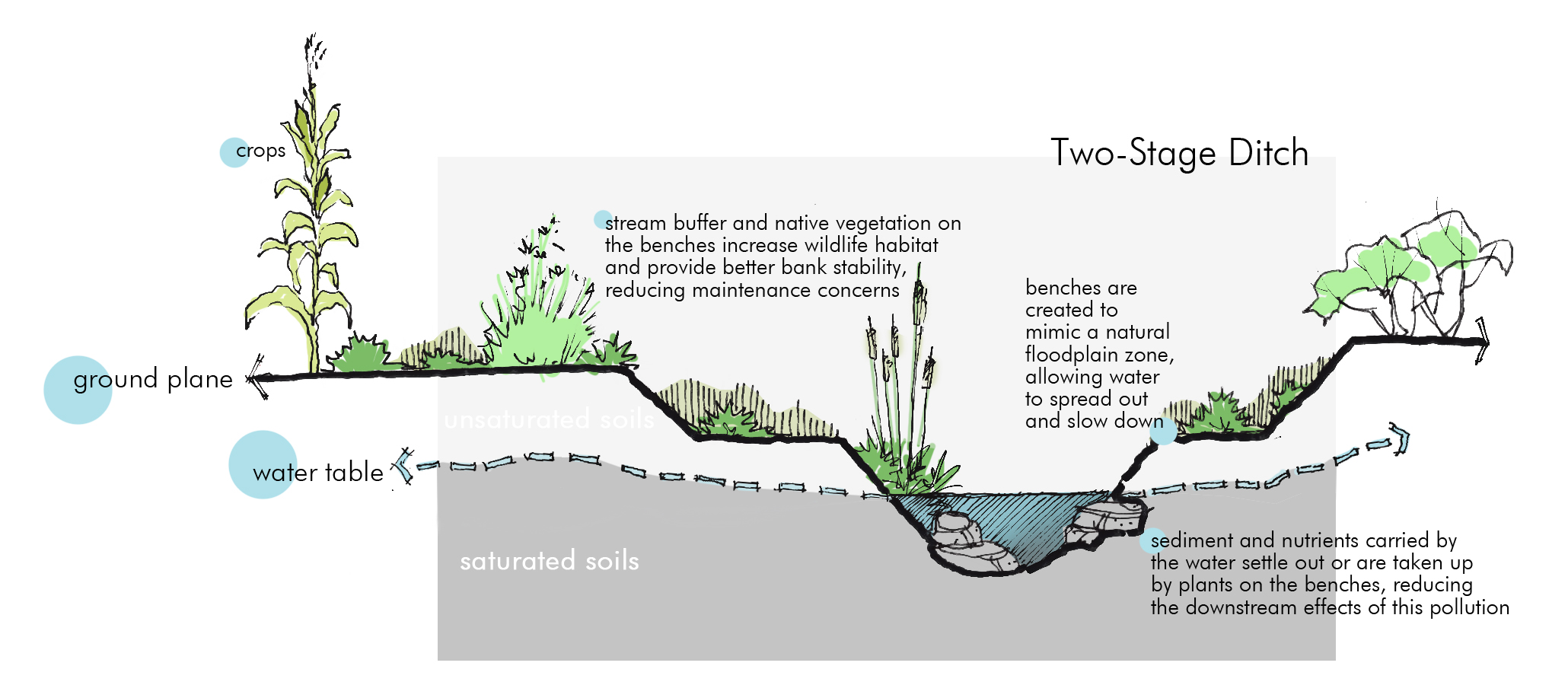 Stormwater Department | Greenwood, IN